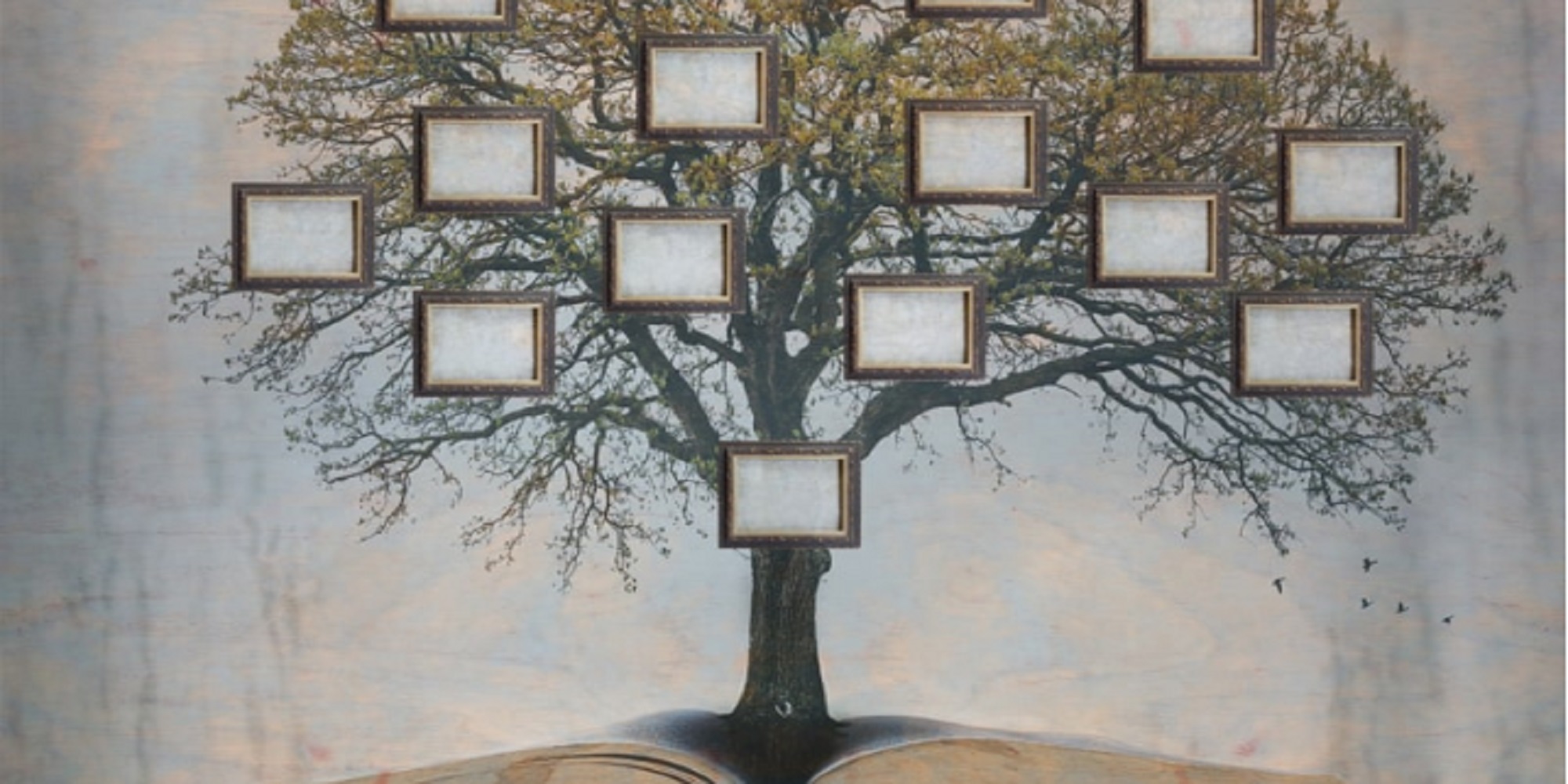 Scottish Heritage: How To Acquire Citizenship Through Genealogy