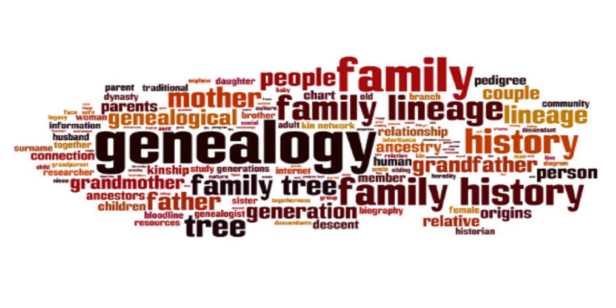 Best Websites and Databases For Online Genealogy