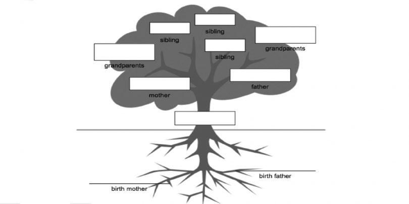 Adoption History Research: What You Need To Know Adoption