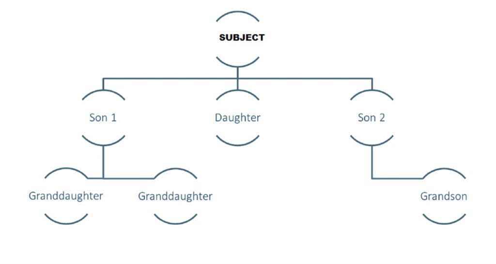 Lineal Descendants Chart: How To Determine Hierarchy