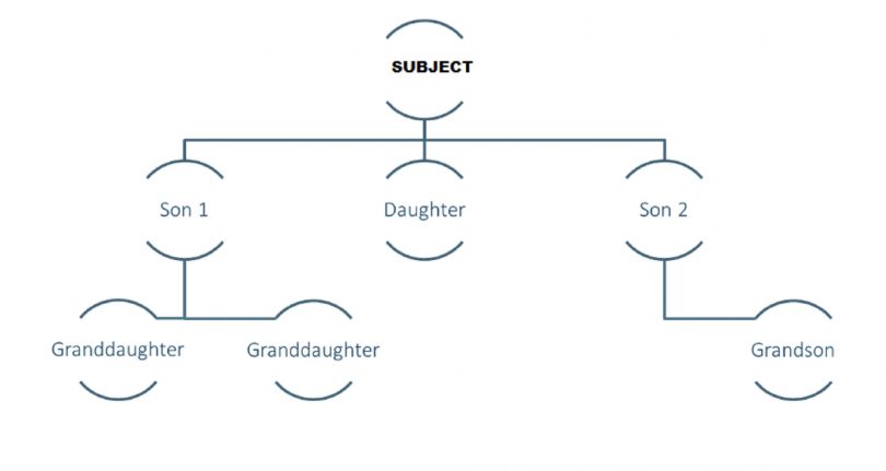 Lineal Descendants Chart: How To Determine Hierarchy