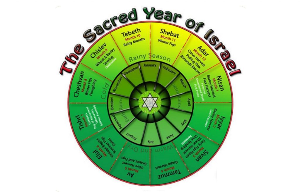 Calendars In Genealogy: How To Avoid Confusion And Errors